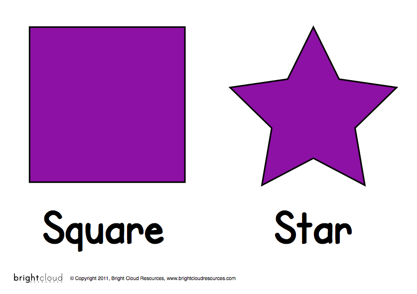 CCC Employee Newsletter